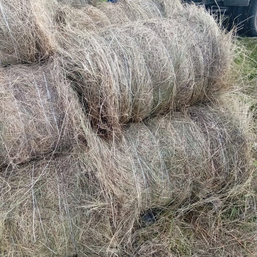 Сено разнотравье в тюках