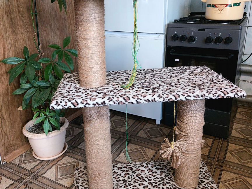 Когтеточка Лежанка