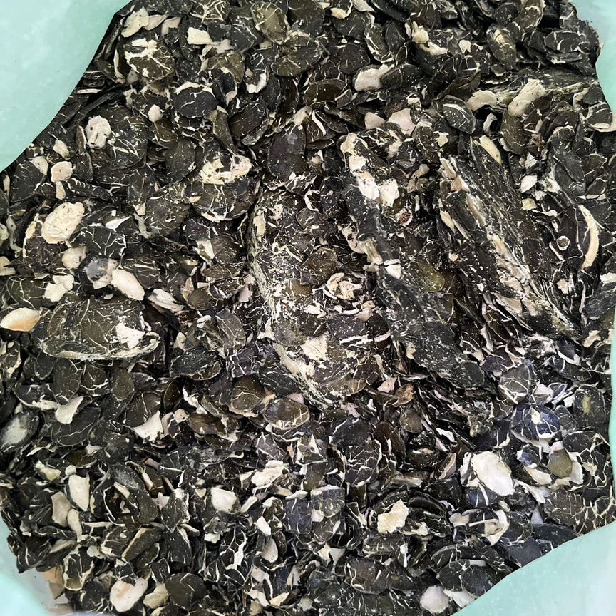 Жмых тыквенный