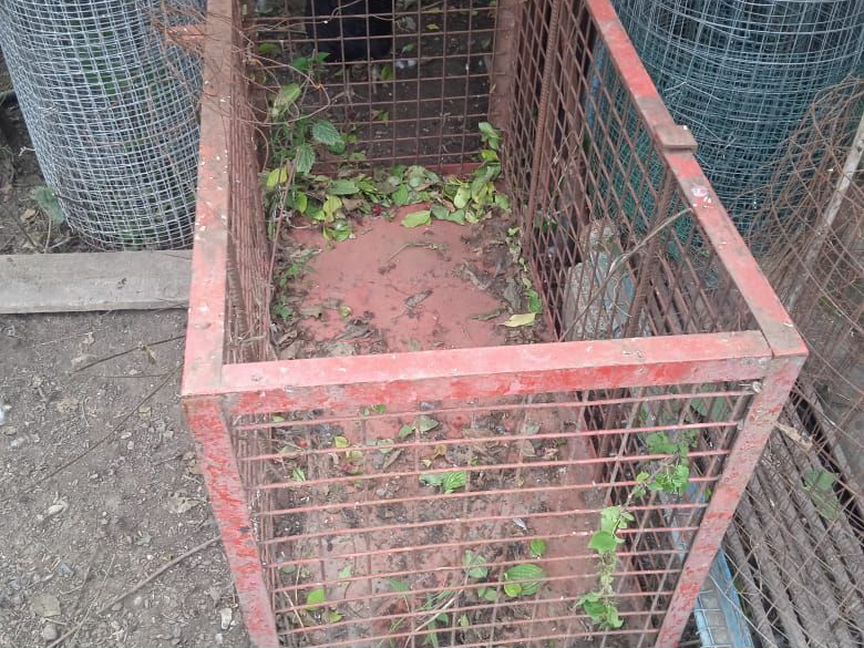 Клетка для домашнего кролика