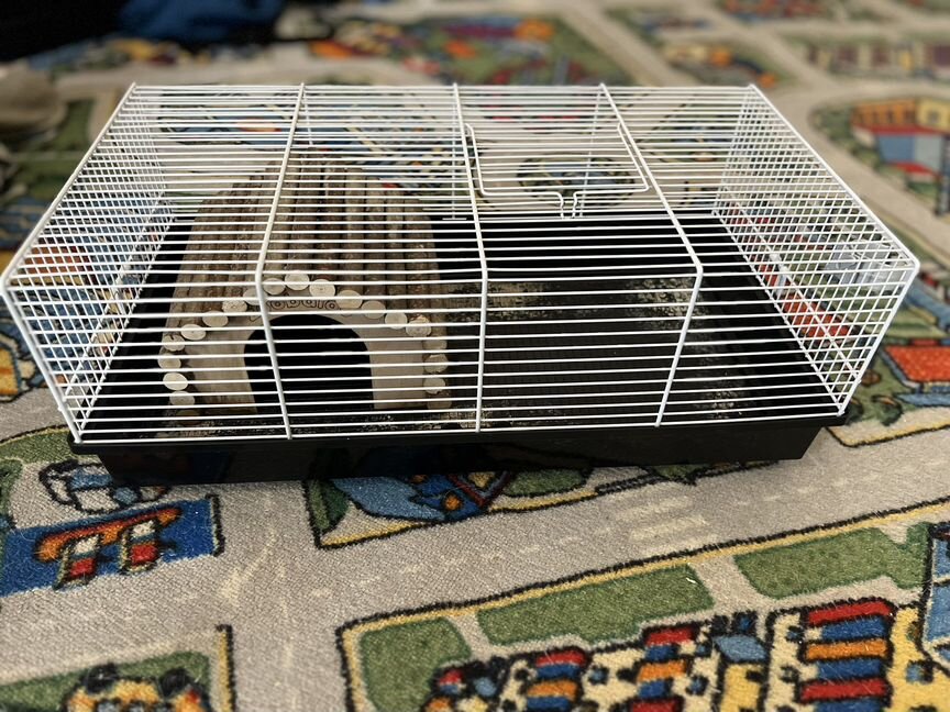 Клетка для хомяка/морской свинки с наполнением