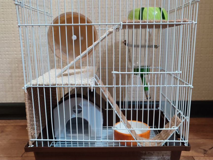 Клетка для грызунов большая