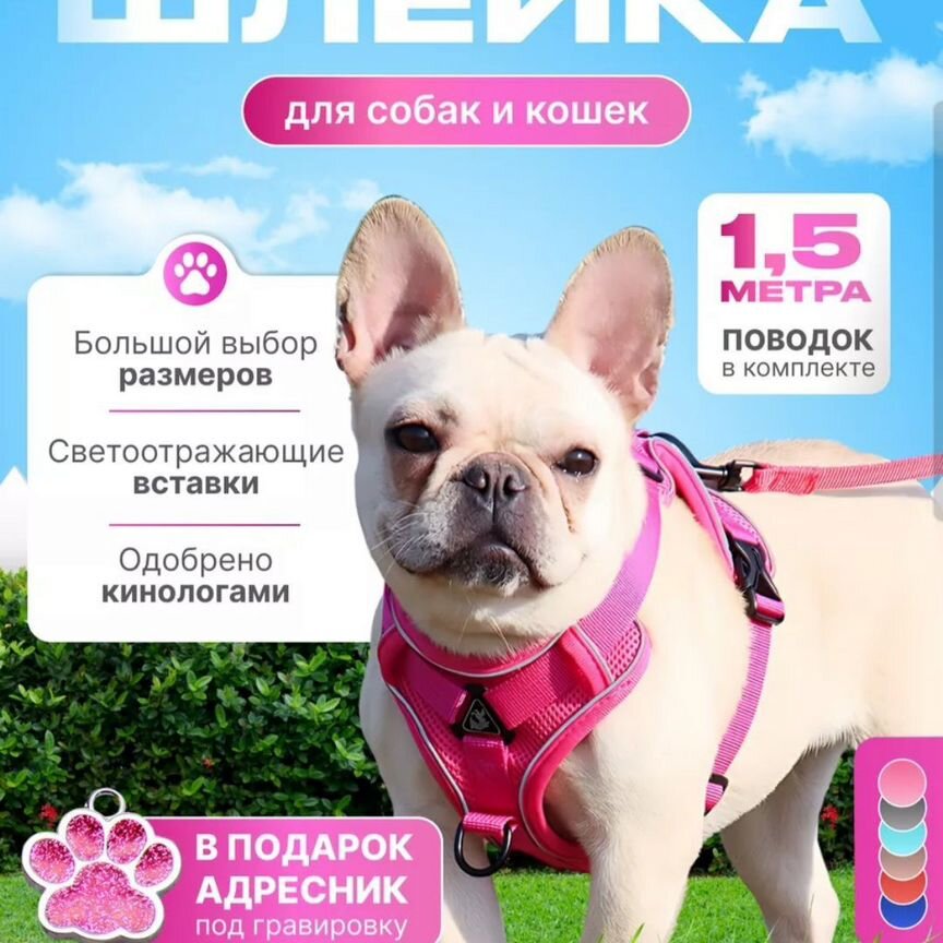 Шлейка для маленькой собаки