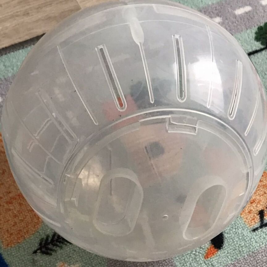 Шарик для хомяка