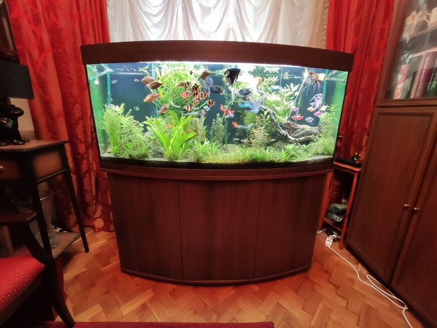 Аквариум Биодизайн Панорама (450 л). Золотой орех