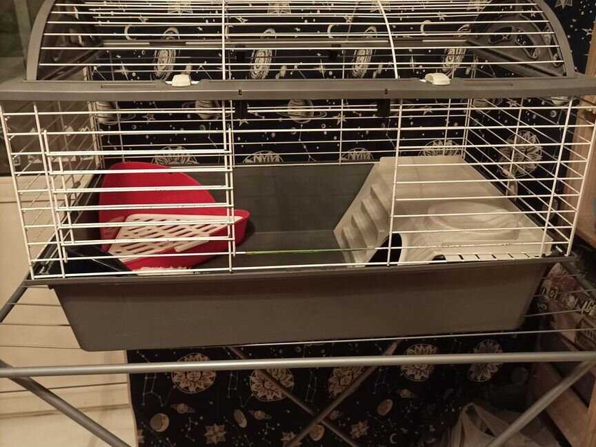 Клетка большая