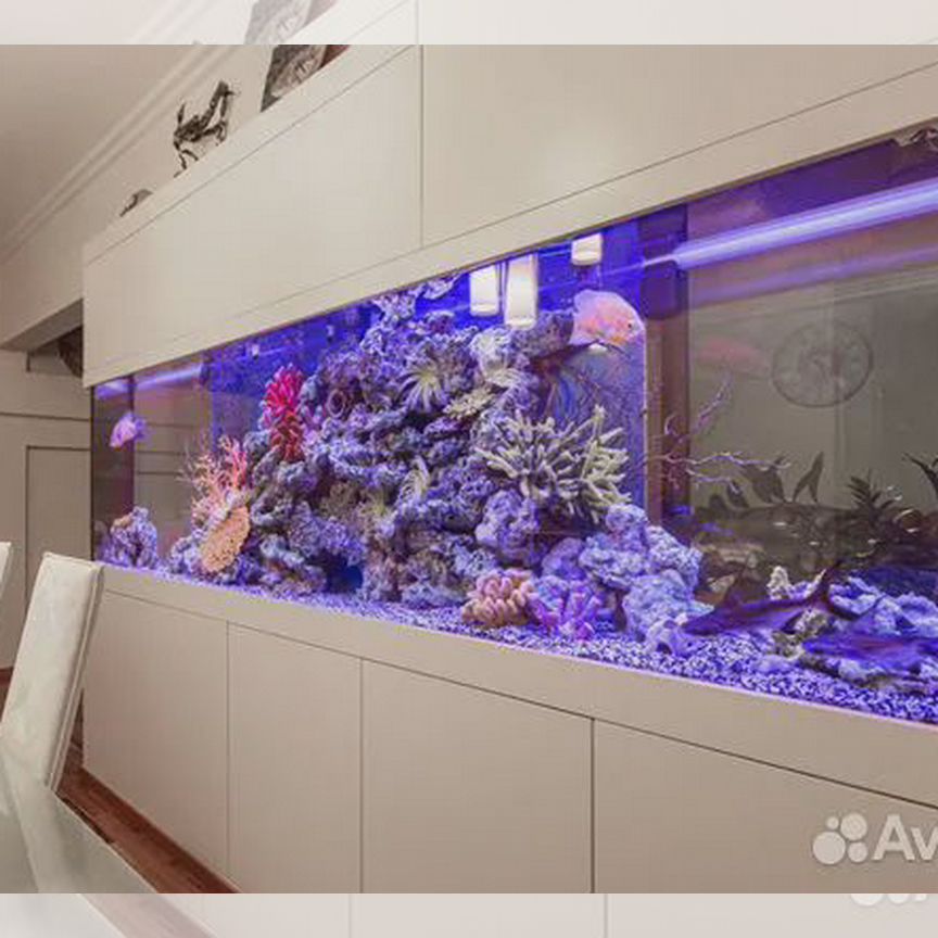Аквариум премиум для рыб
