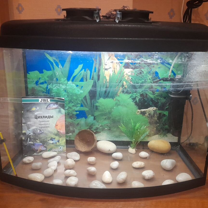 Аквариум 80 литров