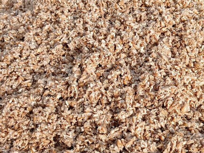 Пивная дробина