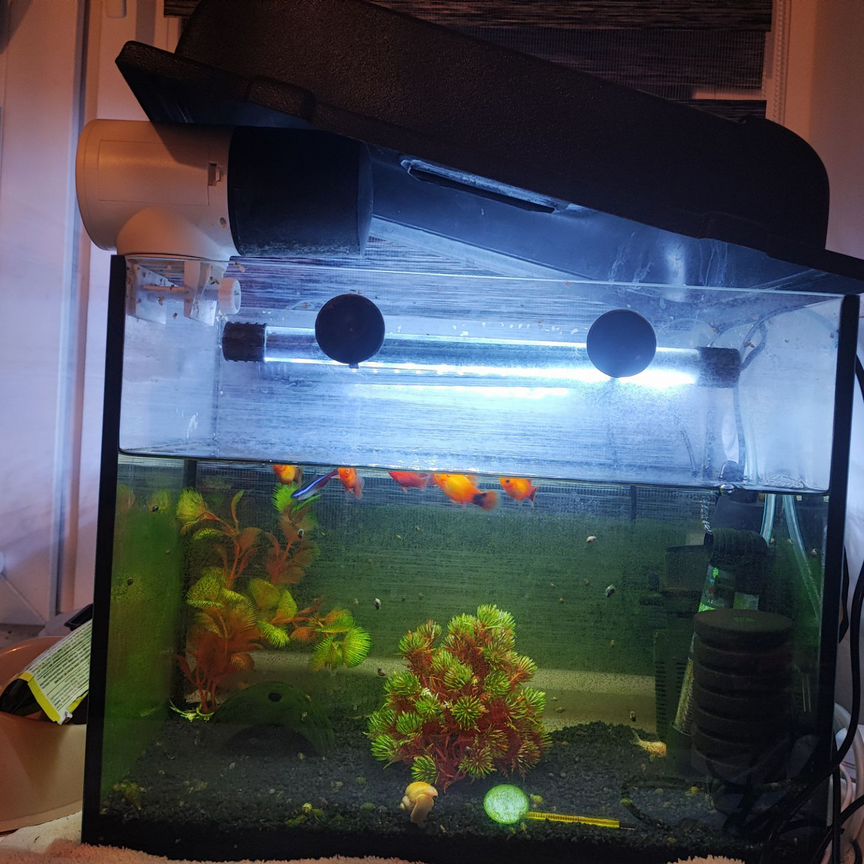 Аквариум с рыбками