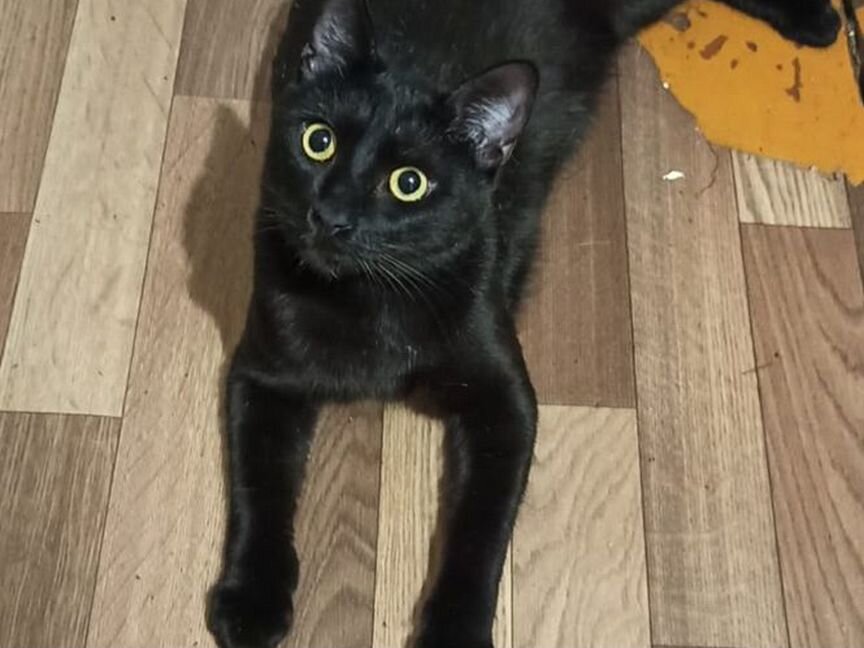 Парень Лукас 2 года