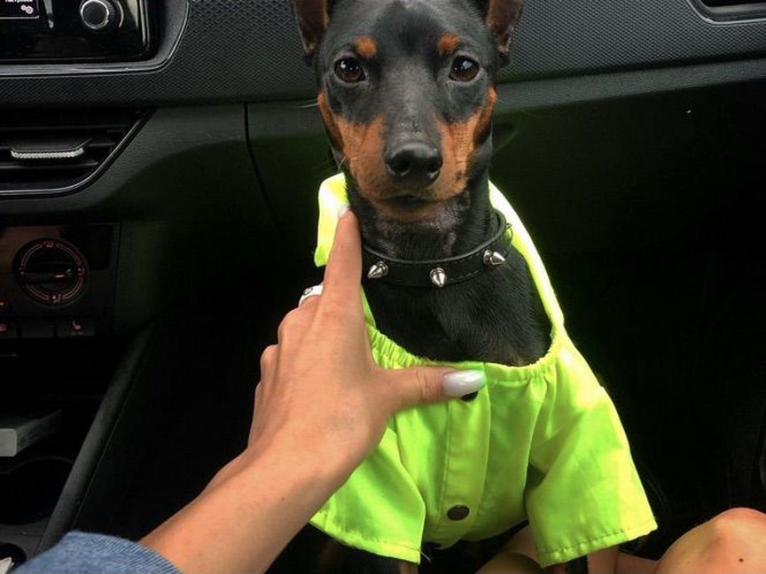 Одежда пакетом