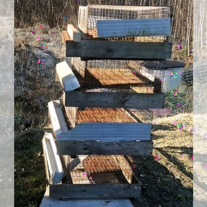 Клетка для перепелов на 50шт. Б/у