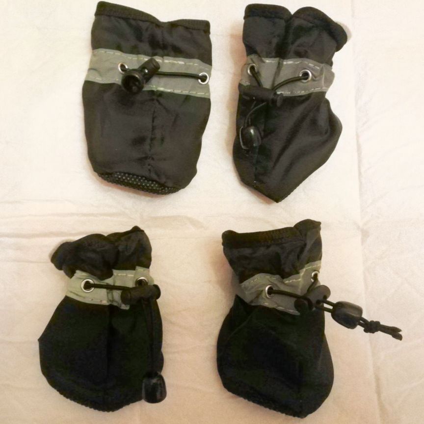 Обувь для собак, размер 4