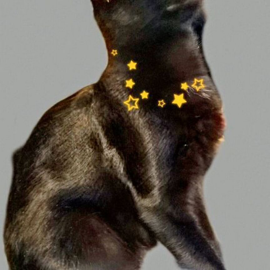 Богема 1.5г ищет маму