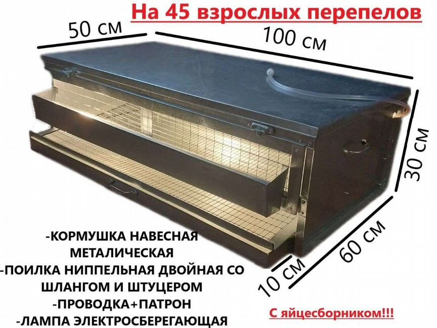 Брудер клетка для перепелов с яйцесборником