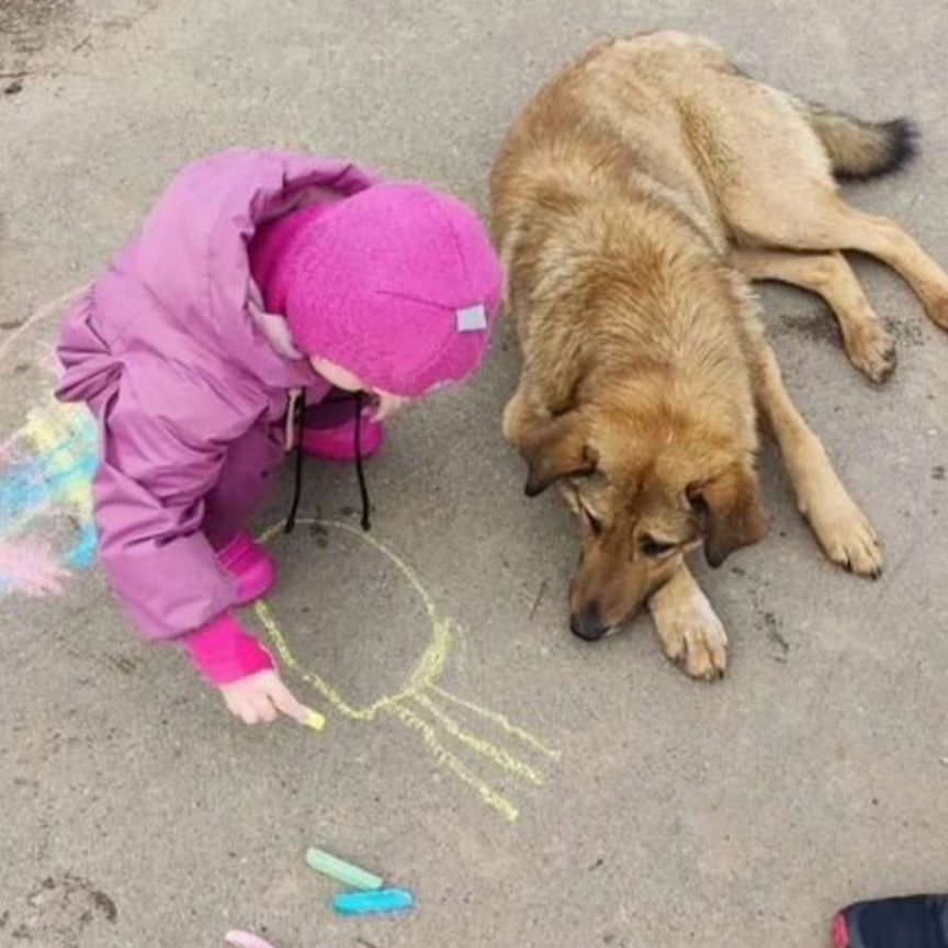 Очень добрый пëс