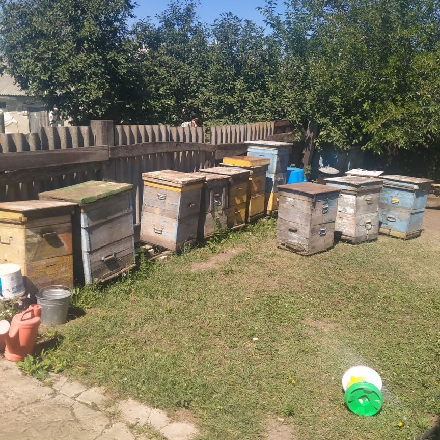Ульи дадановские 12 и 16 рамочные, два корпуса