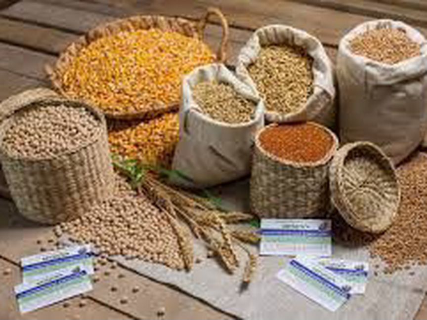 Комбикорм, зерно