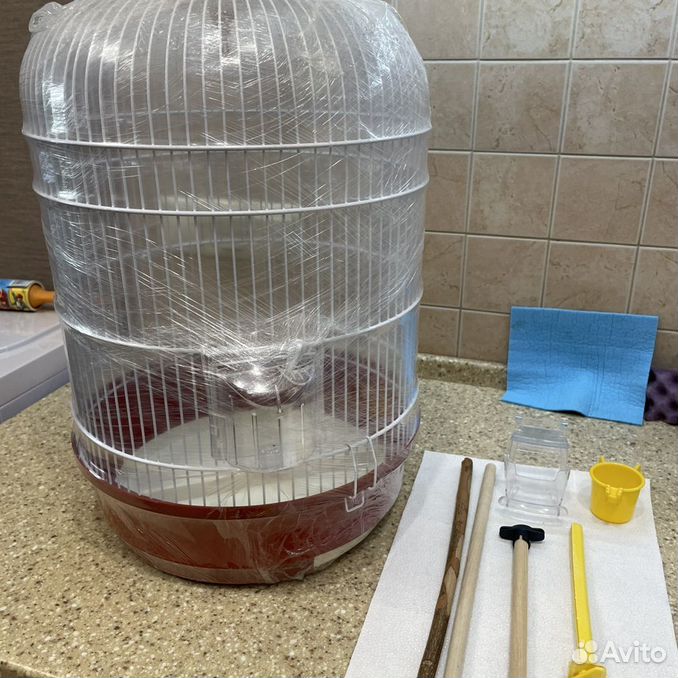 Ктетка для конарейки