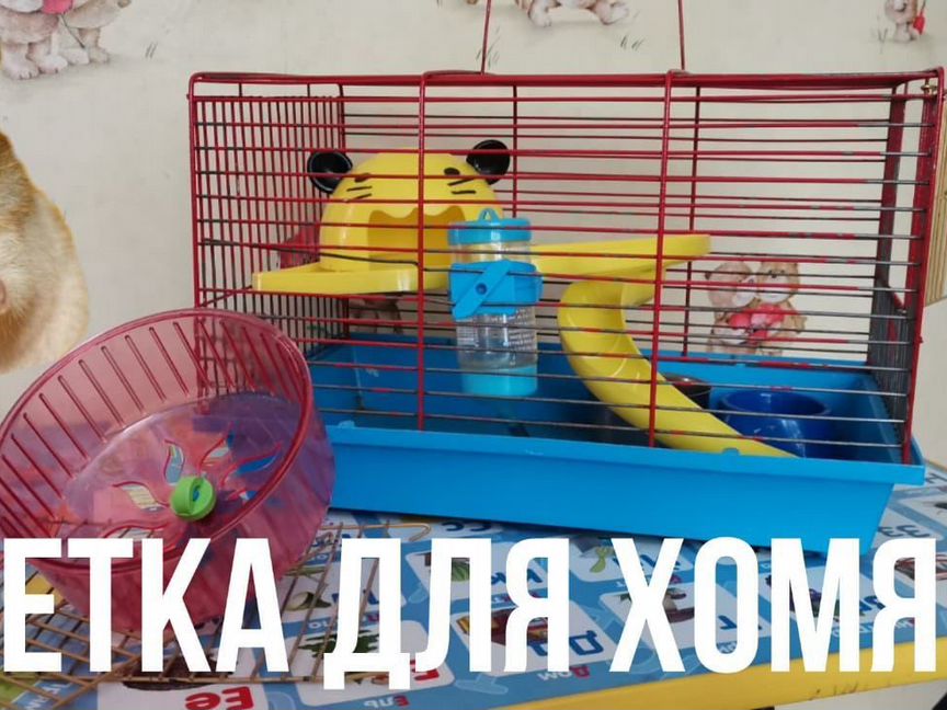Клетки для хомяков, птиц, колеса для хомяков