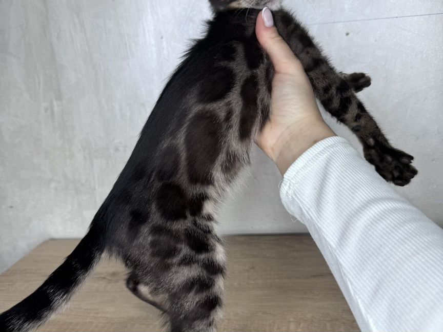 Мальчик уголь