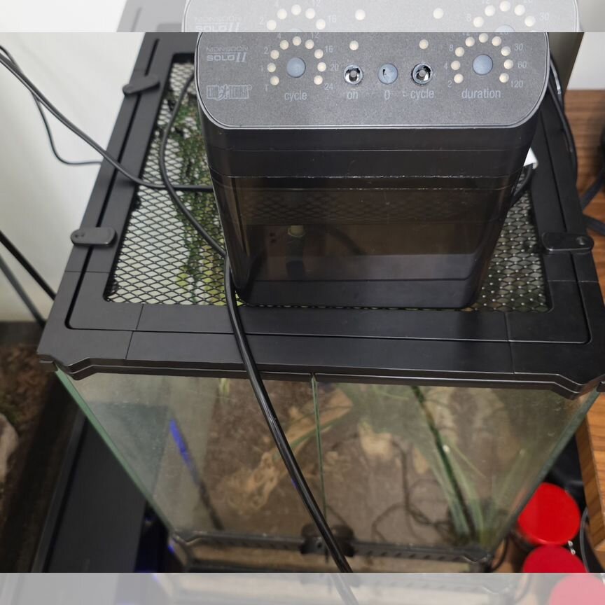 Террариум для геккона