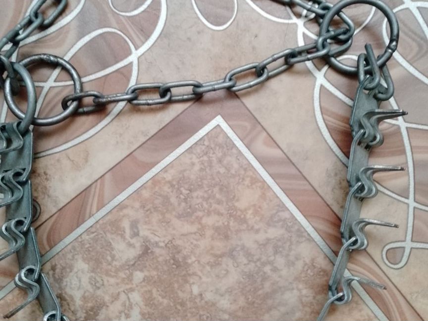 Строгий ошейник для собак