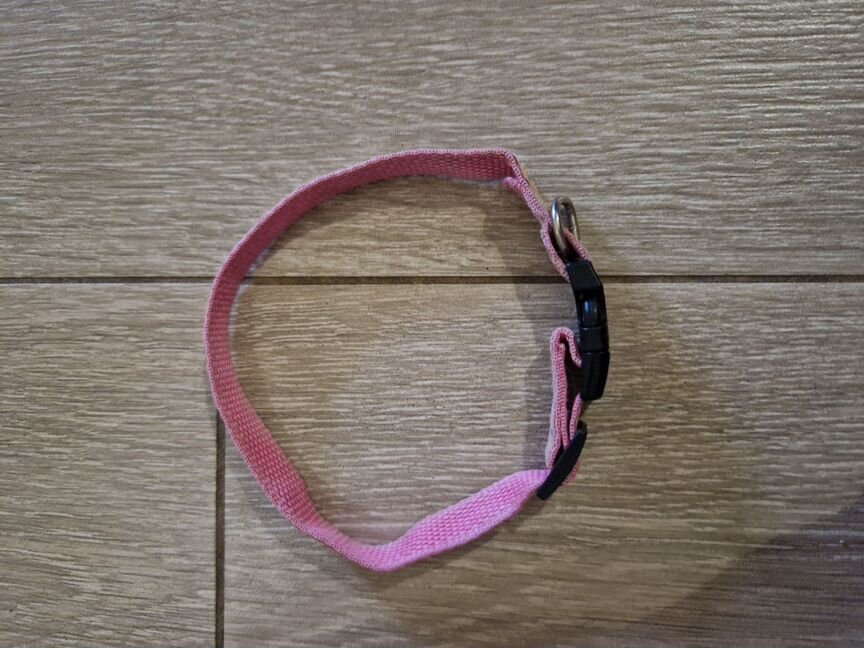 Ошейник для собаки или кошки