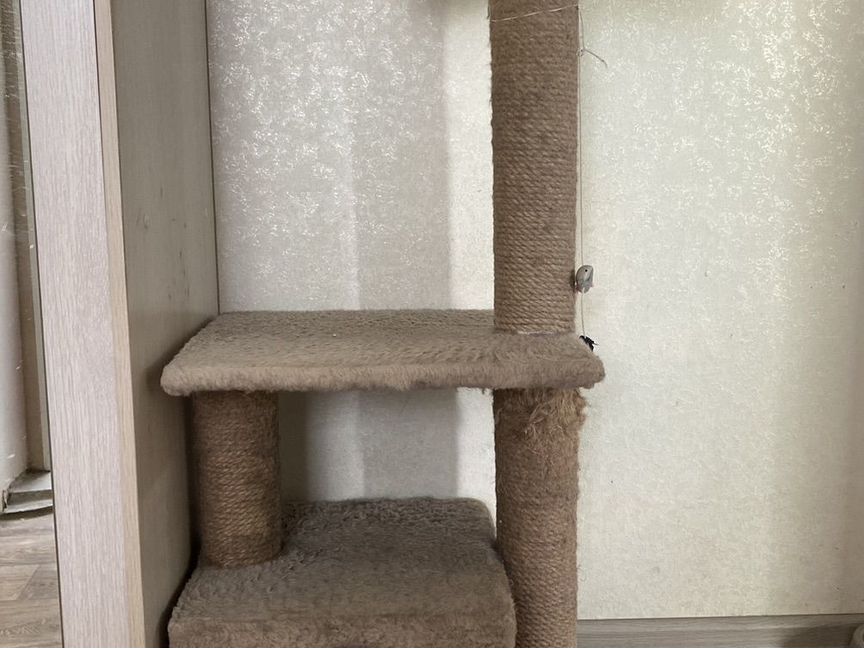 Когтеточка с домиком