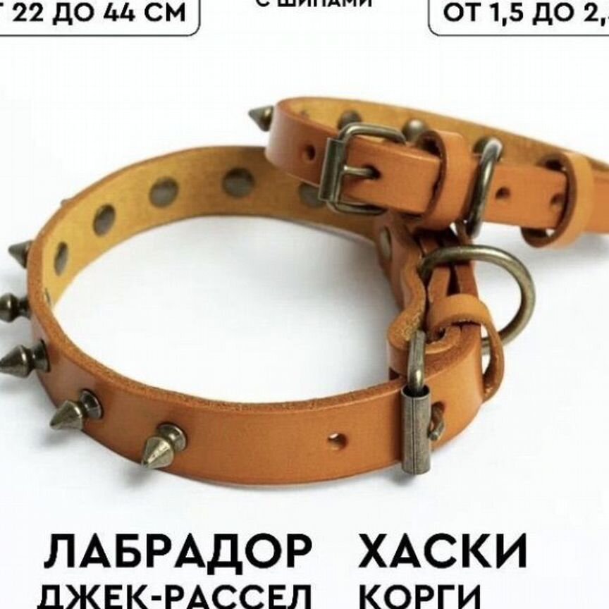 Кожаный ошейник для собак