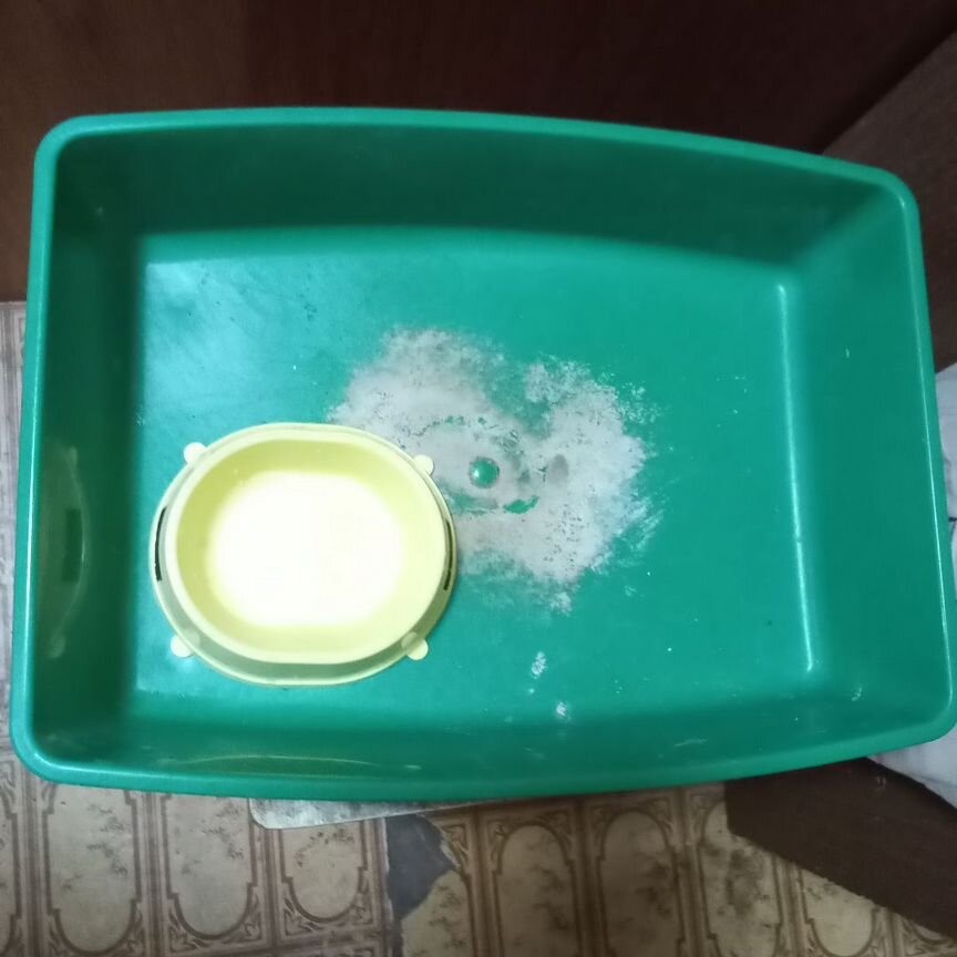 Лоток для кошек большой