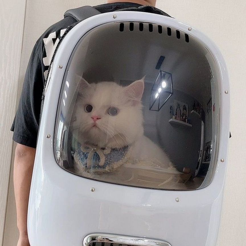 Рюкзак-переноска для кошек и собак Petkit Breezy v