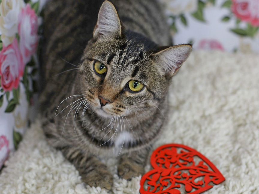 Фане нужна семья ей всего 10 мес