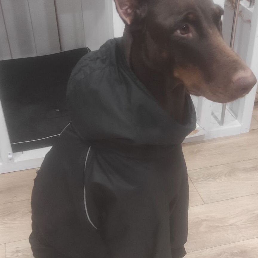 Комбинезон зимний для собак