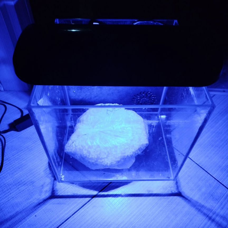 Аквариум с грунтом и подсветкой