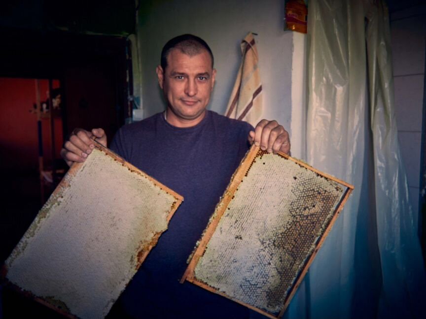 Рамки пчелиные