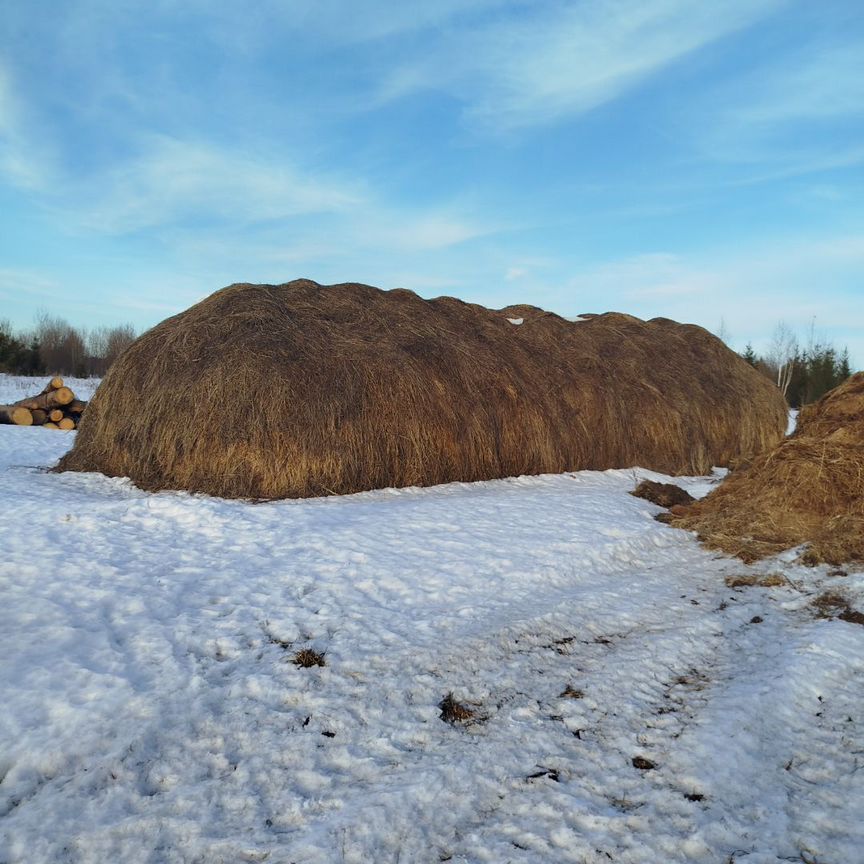 Сено в стоге