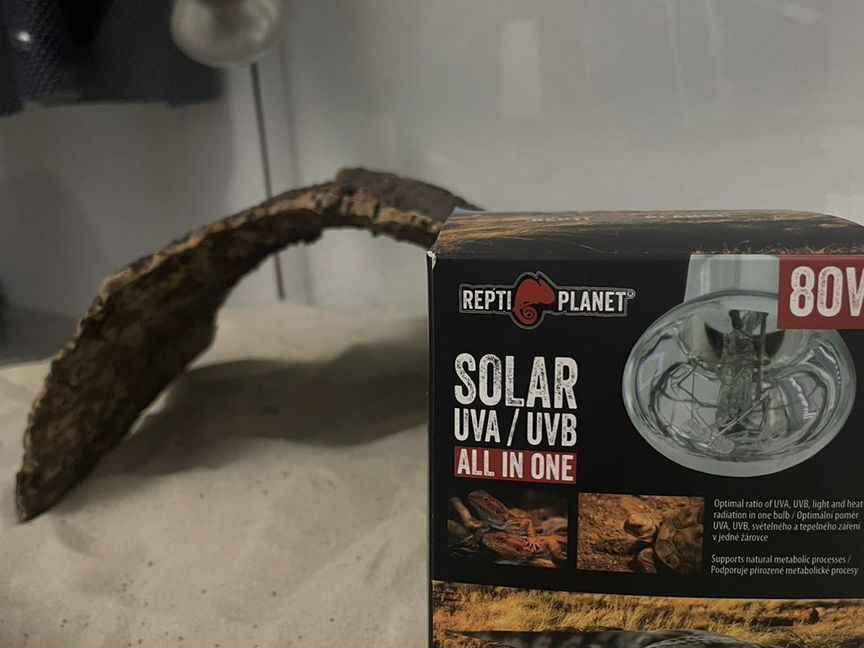 Оборудованный террариум 80 50 40 б/у