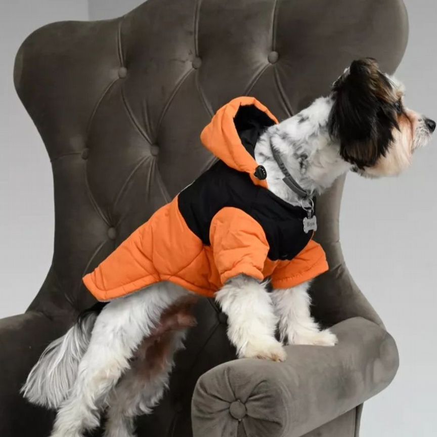 Куртка для собак мелких пород