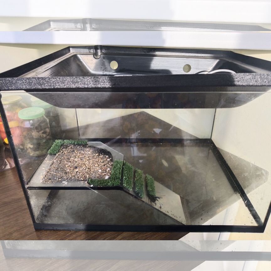 Террариум для черепахи