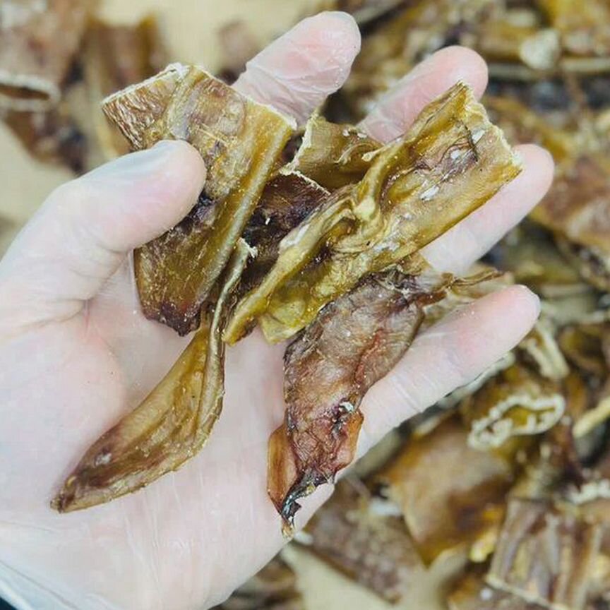 Аорта говяжья сушенная 100 гр. (5-10 см.)