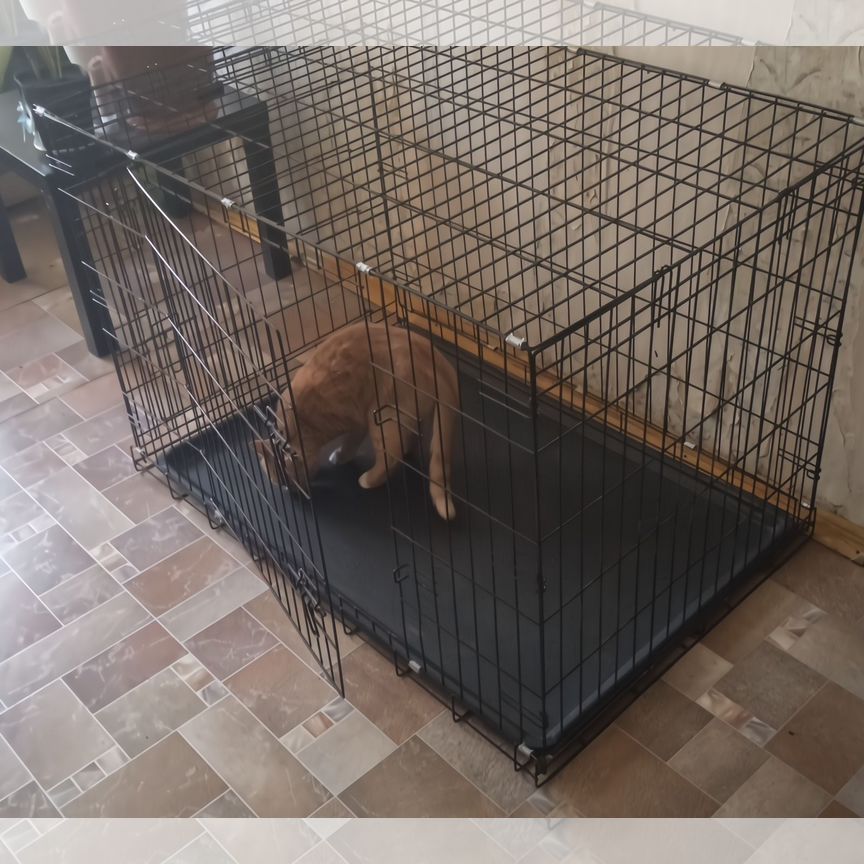 Клетка вольер для собак антивандальная