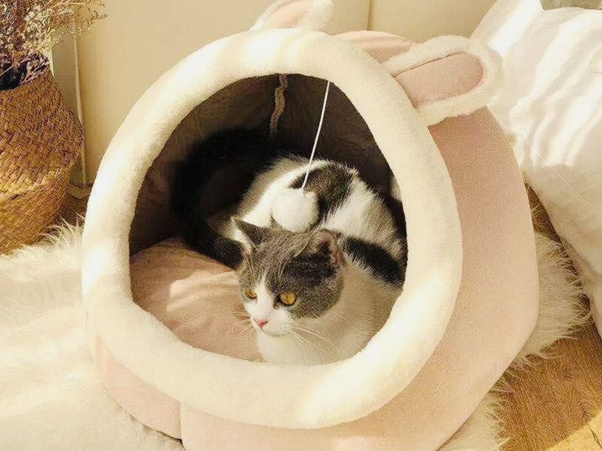 Домик лежанка для кошки и собаки (Новая)