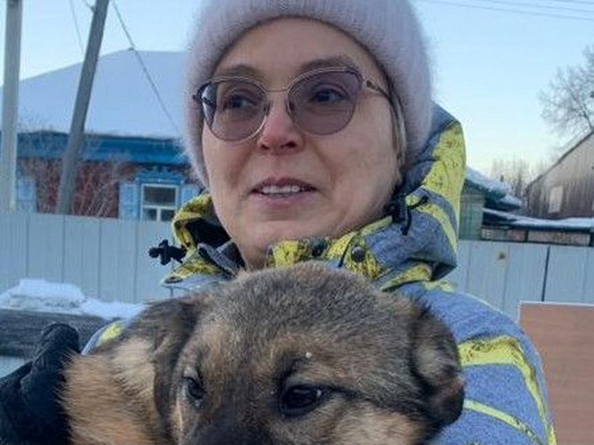 Собака в добрые руки отдам бесплатно