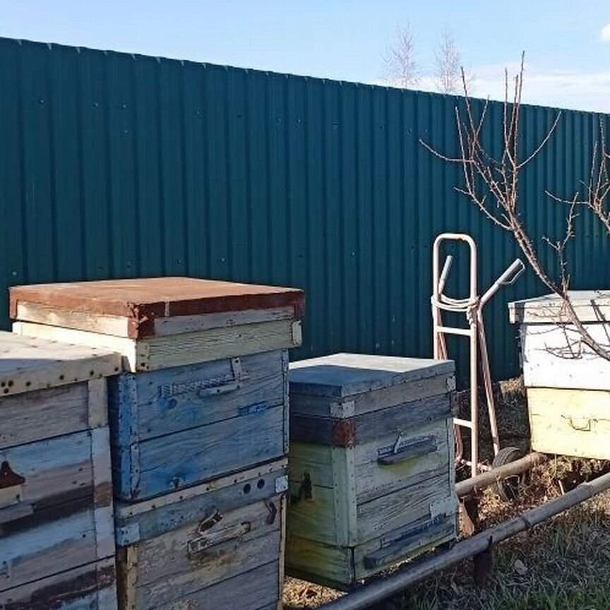 Инвентарь для пчеловодства