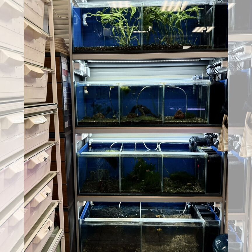 Аквариумная стойка