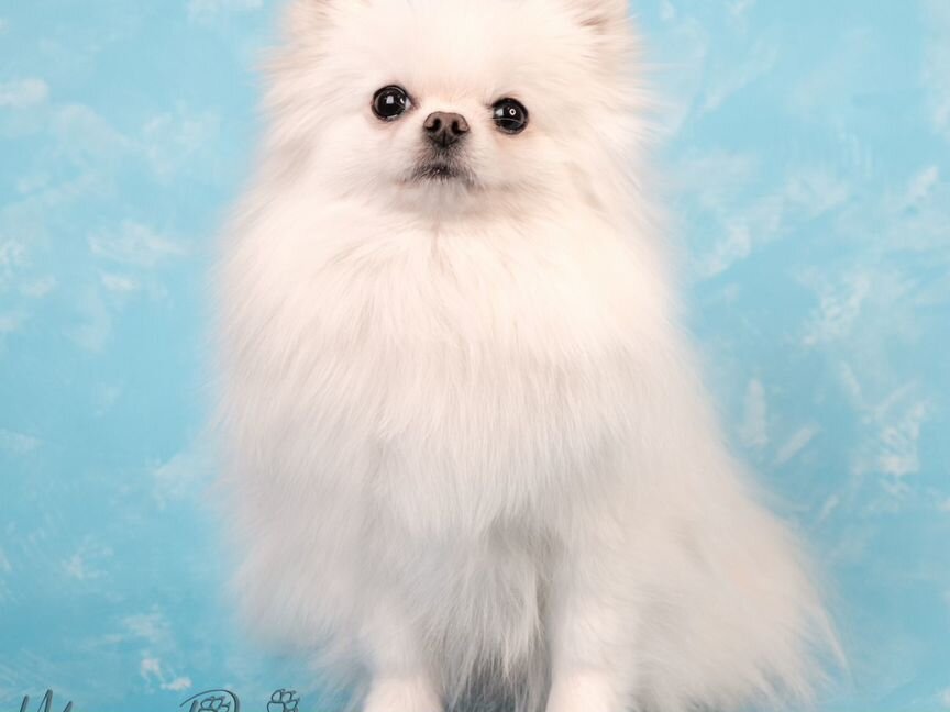 Очень маленькая белая девочка