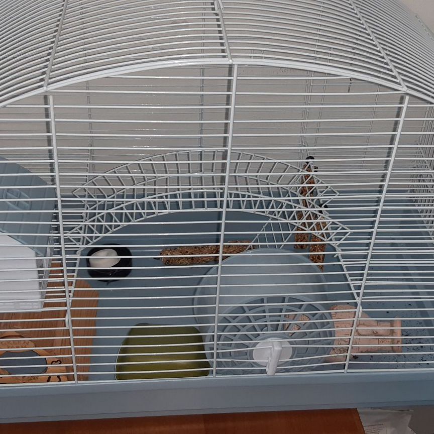 Клетка для хомяка большая бу