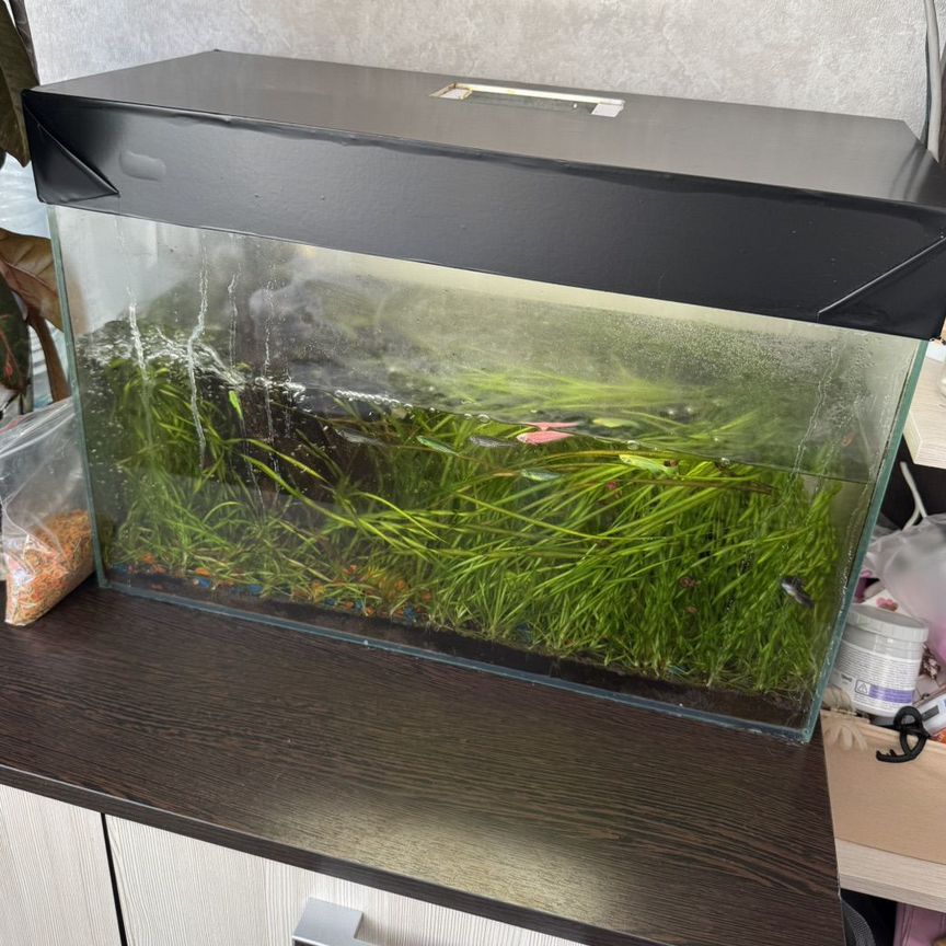 Аквариум с рыбками и декорацией